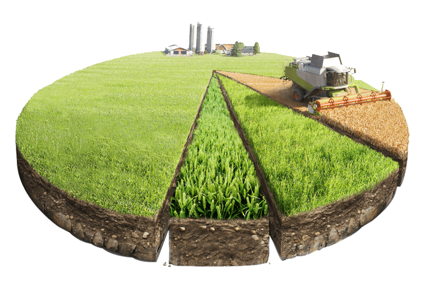 SANJEEVANI PROJECTS – OPEN PLOTS, VILLAS, FARM LANDS & APARTMENTS FOR SALE.